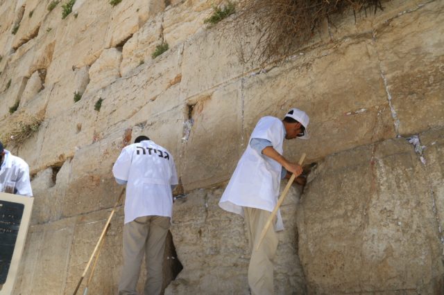 Special Western Wall Notes that go up to the Heavens