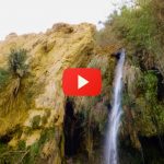 Iceland gets its FIRST local rabbi!/permanent rabbi