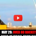 The Israeli Bee that is essential to the future of humanity! - Israel ...