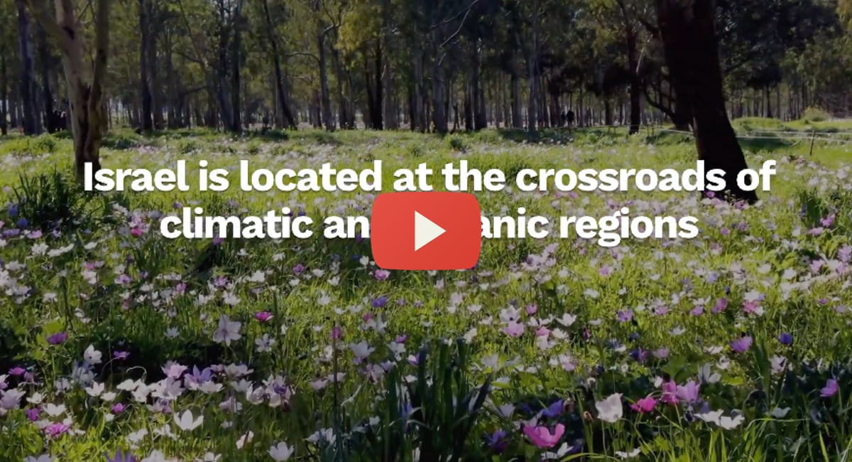 Israel's geography shows just how G-dly the state really is