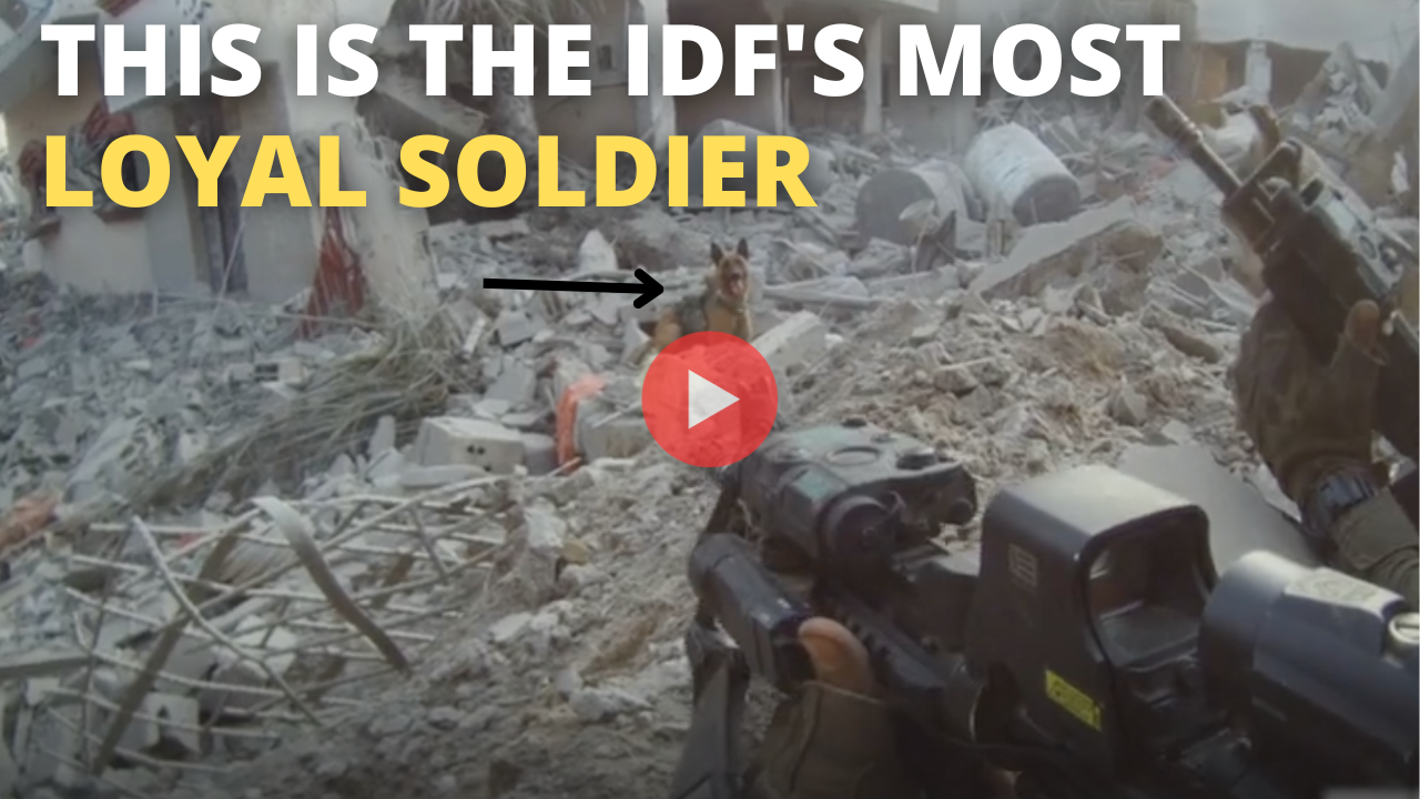 This Is The IDF's Most Loyal Soldier - Israel Unwired