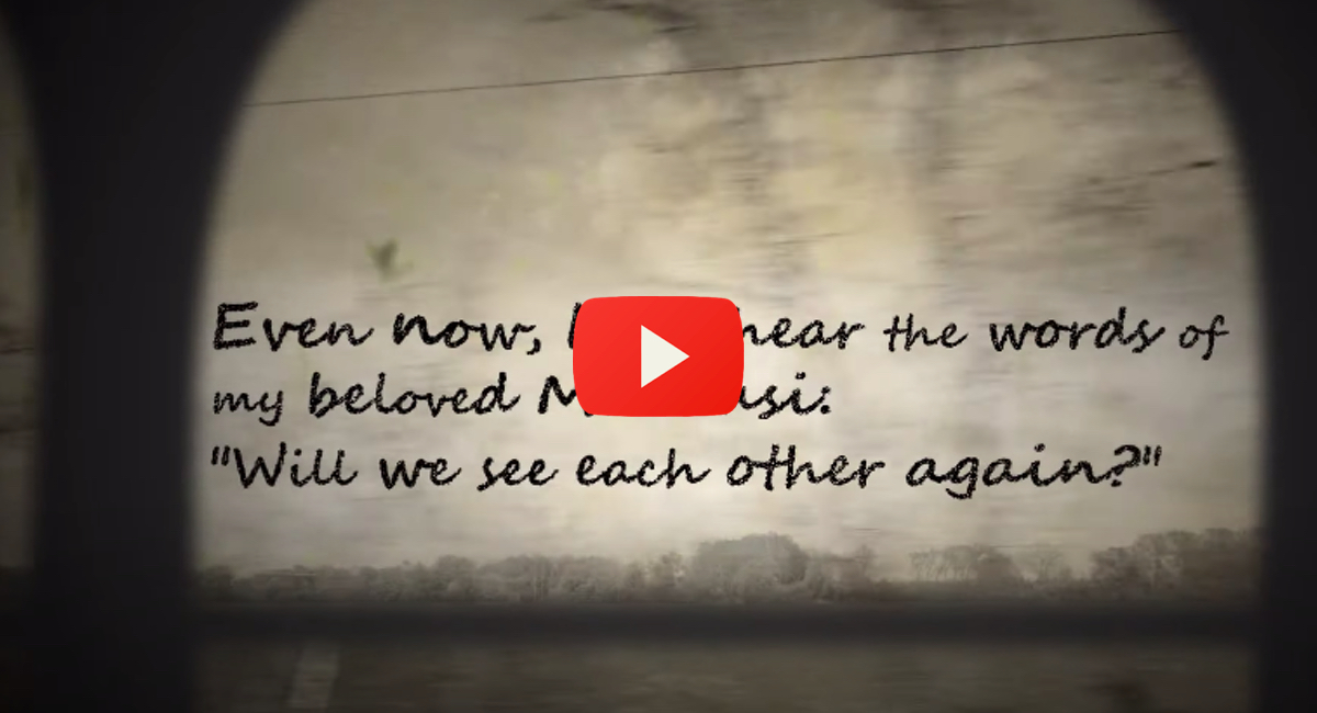 The Holocaust Diary That Holds the Truth About Nazi Germany